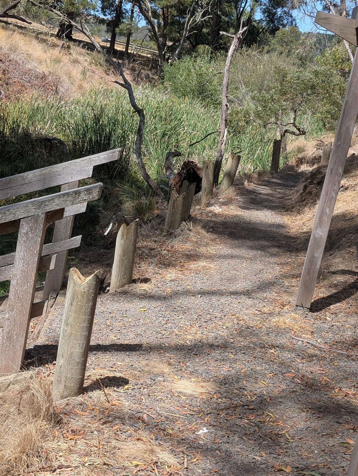 Infrastructure theft at Ballan Mineral Springs | Moorabool Shire Council