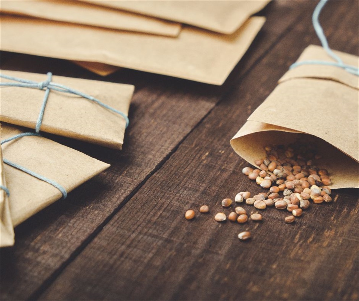 Ballan Seed Library | Moorabool Shire Council